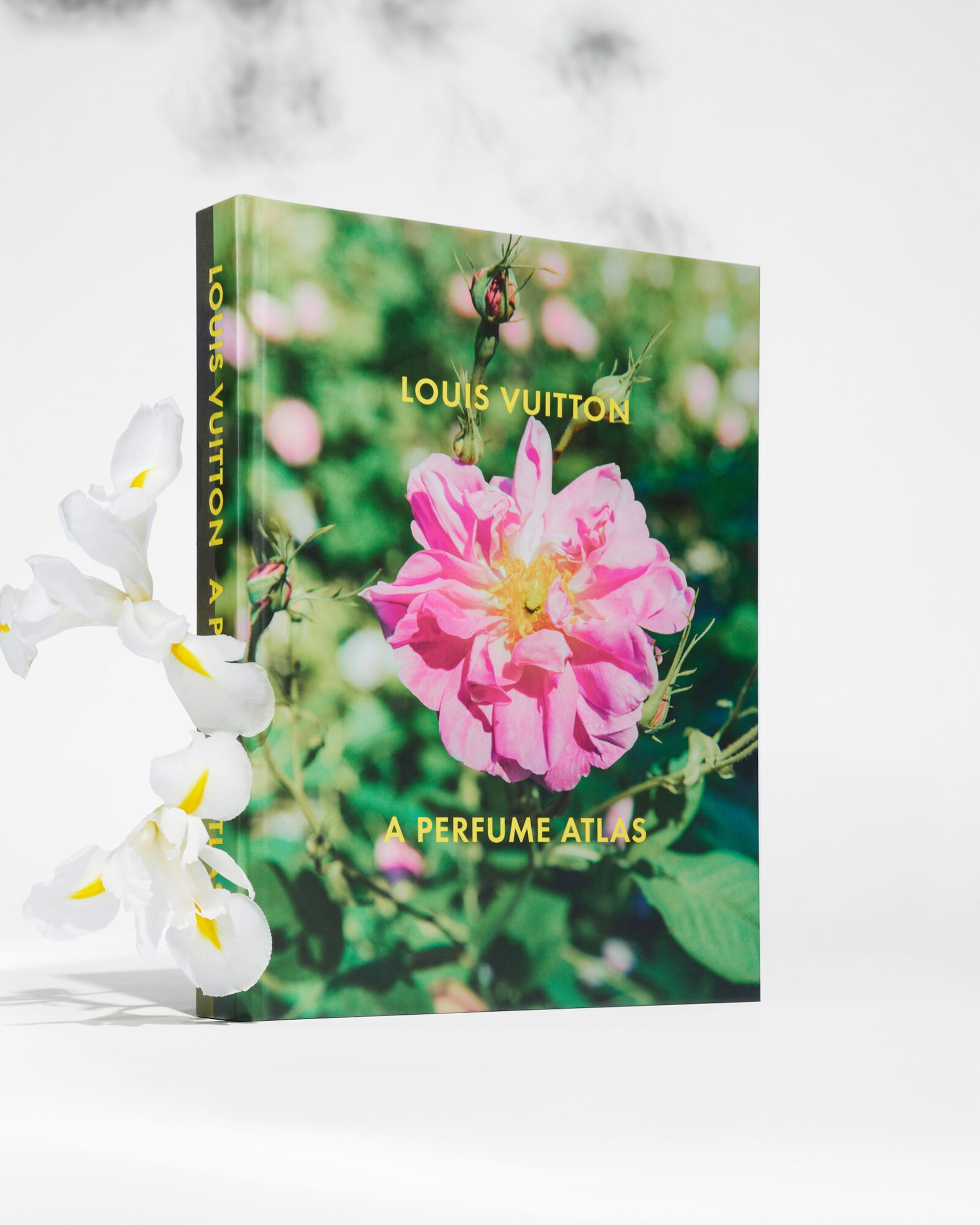 L'Atlas Des Parfums Louis Vuitton : Une odyssée olfactive | LOUIS VUITTON